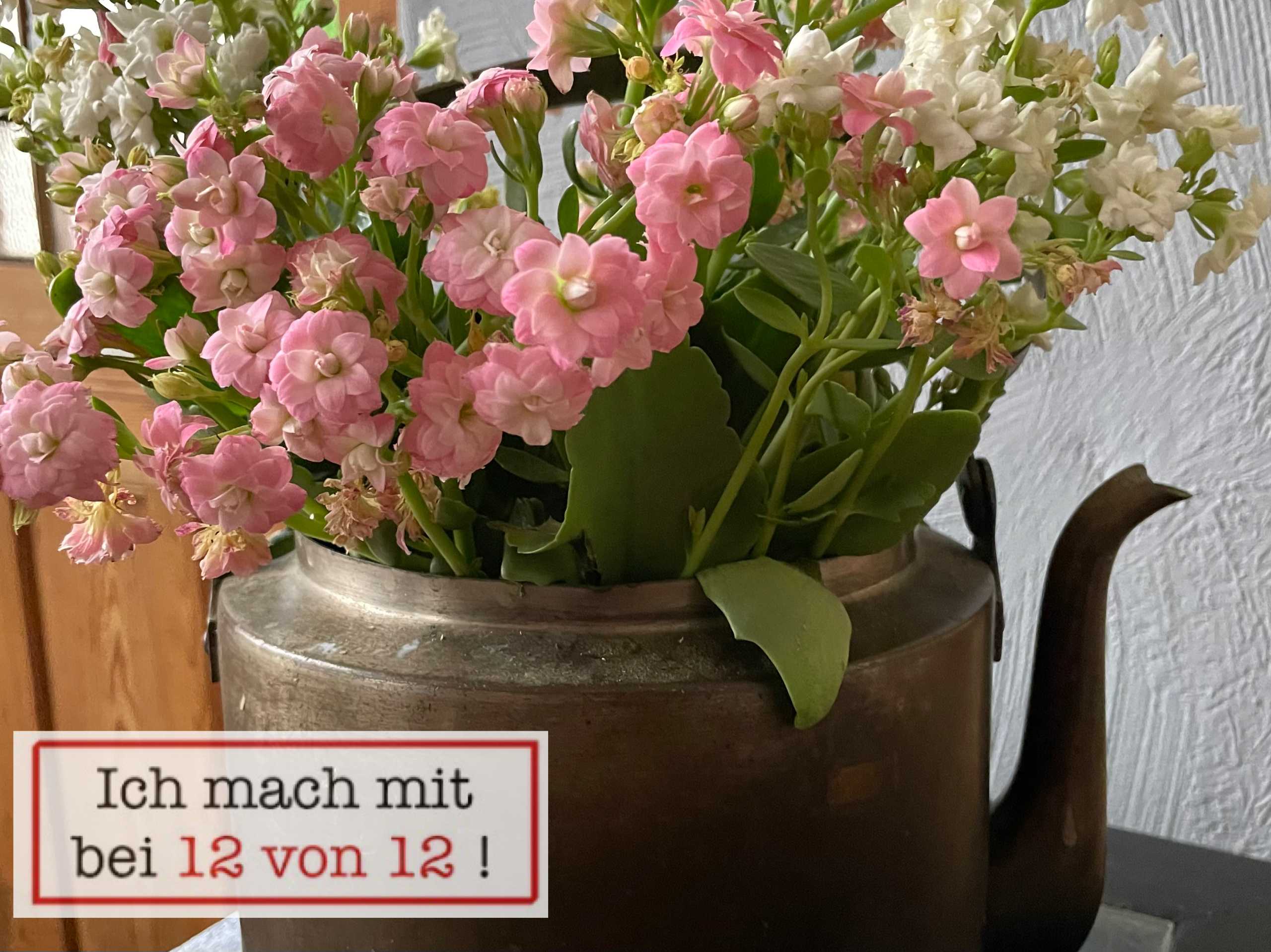 Blog - xmalanderssein.de